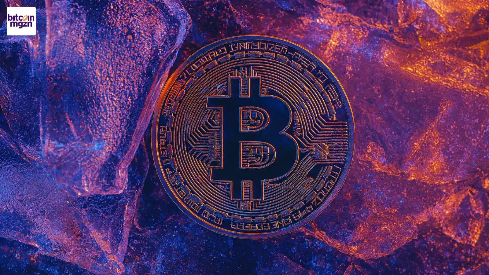 "De crypto winter is officieel hier," zegt hedge fund miljardair